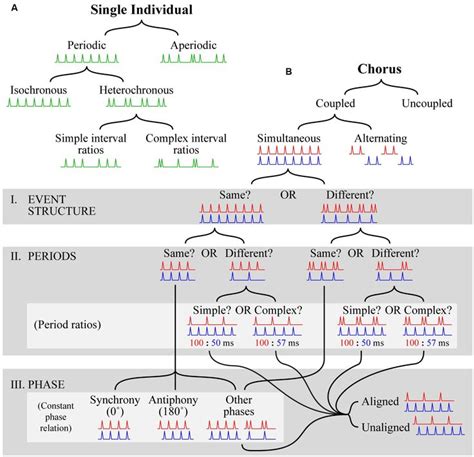 The Solo Tree Hierarchically Categorizes Temporal Patterns Produced By