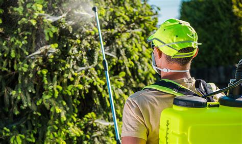 Tree Service Web Design Tree Service Website Development Experts Digital Engage
