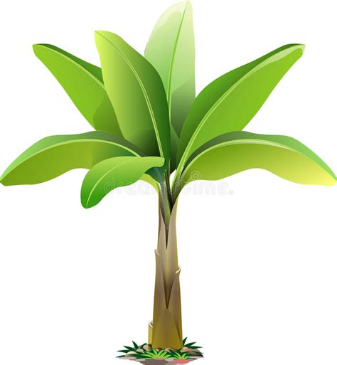 Banana Tree Images Clip Art 19 Free Cliparts Download Images On