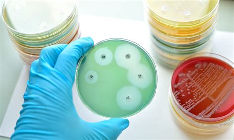 Evaluation Of Antimicrobial Efficacy Blog Ifyber