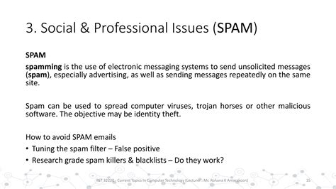 social and professional issues in it pptx email internet