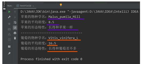 java 面向对象三大特性之多态 万字详解超详细 云社区 华为云