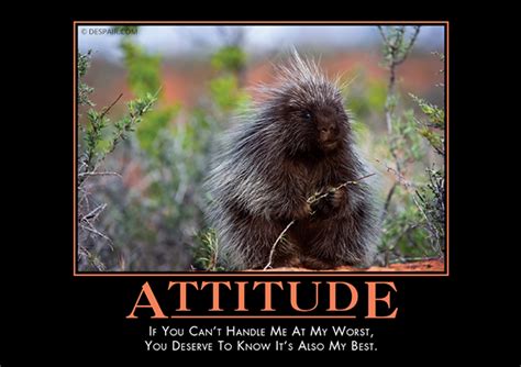 Demotivators® The Worlds Best Demotivational Posters Despair Inc