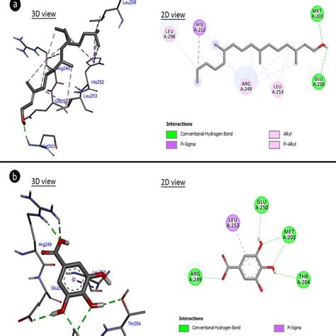 Potential Molecular Interactions Binding Affinities And Potential