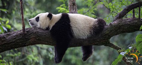 How To Stop Being Lazy All The Time 5 Step Process