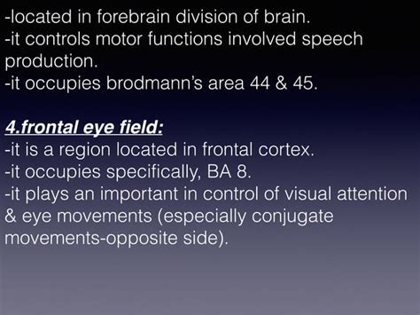 Cerebral Cortex Ppt Pdf Brain And Nervous System Disorders Diseases And Conditions
