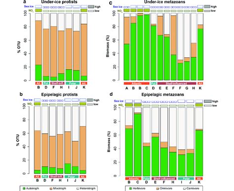 Trophic Structure Of Under Ice Protist A Epipelagic Protist B