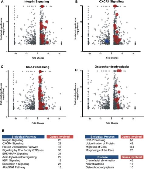 Transcriptome Analysis Reveals Novel Players In The Cranial Neural