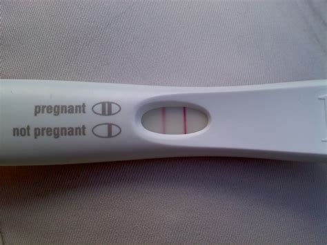 Michael Angelo My Junebug Positive Pregnancy Test