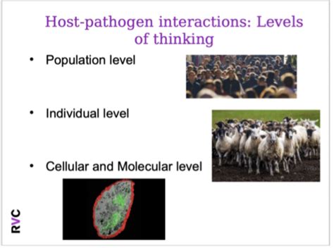 Introduction To Bacterial Host Pathogen Interactions Flashcards Quizlet
