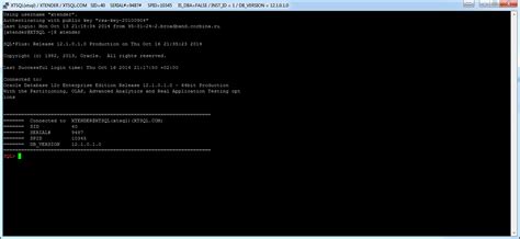 oracle sql just a couple of screenshots of sqlplus rlwrap cygwin console