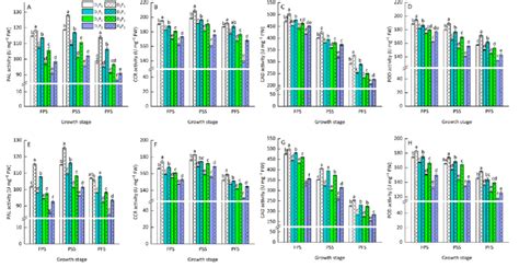 Effects Of Sowing Density And P Bz Application On Lignin Download