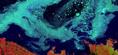 Influence And Impact Of Chief Sustainability Officers Em B2b Cso Report