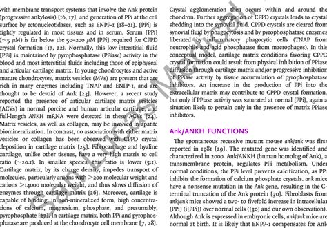 Evaluation Of Cppd Crystals A Histological Examination Of Synovium Download Scientific Evaluation Of Cppd Crystals A Histological Examination Of Synovium Download Scientific