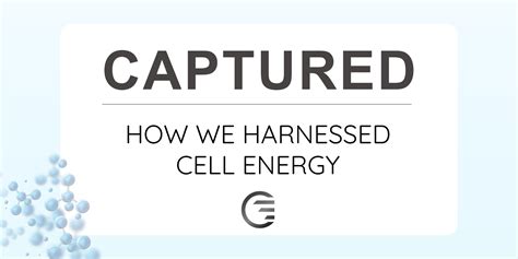 Harnessing Cell Energy Energy Delivery Solutions