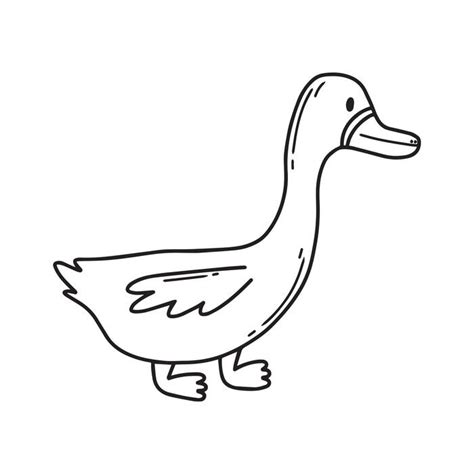 Duck Doodle Vector Art Icons And Graphics For Free Download
