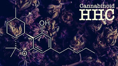 New Cannabinoid Hhc In The Spotlight As Market Evolves