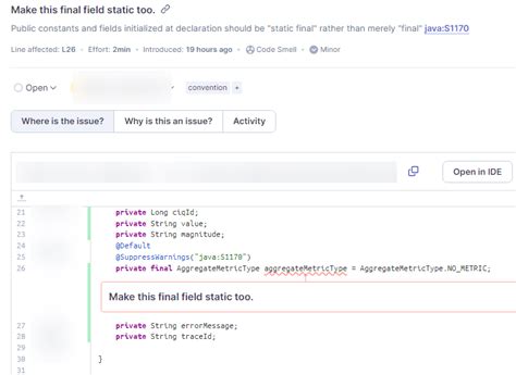 A Lot Of False Positive Issues Related To Lombok After Sonarqube