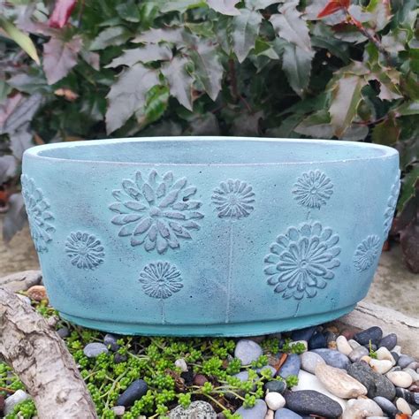 Сукуленти 🌱 Кашпо 🪴 Каміння декоративне 🪨 Грунт для сукулентів Succulents Magic • Instagram