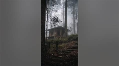 නිදහස කිව්වම හිත යන්නෙම කදුකරේ මේ නිහඬ පාළු සුන්දරත්වයට ඔහිය🌳🌻🐛☘️🍃📸