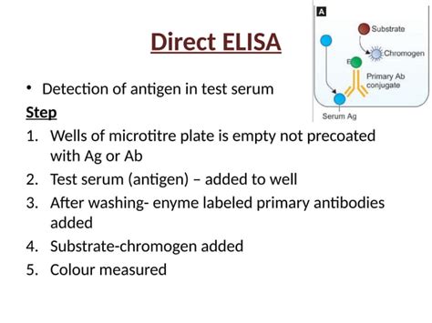 Presentation On ELISA Principle Types Pptx