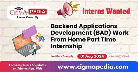 Backend Applications Development Bad Work From Home Part Time Internship By Excellentsound