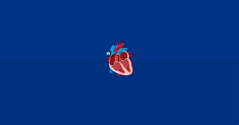 Depolarization Vs Repolarization Of The Heart Explained