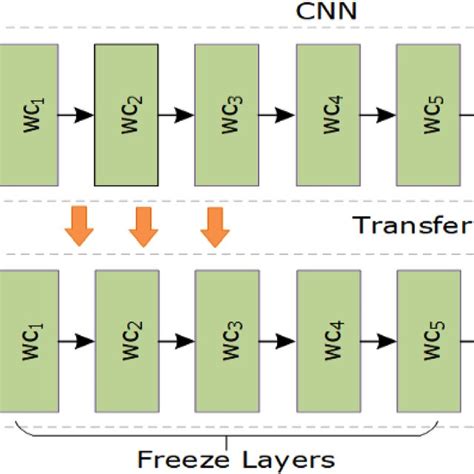 A Visual Demonstration Of Transfer Learning Download Scientific Diagram