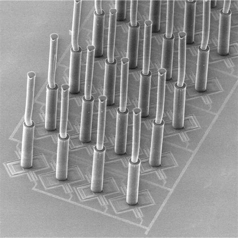 Artificial MEMS Hair Flow Sensors Download Scientific Diagram