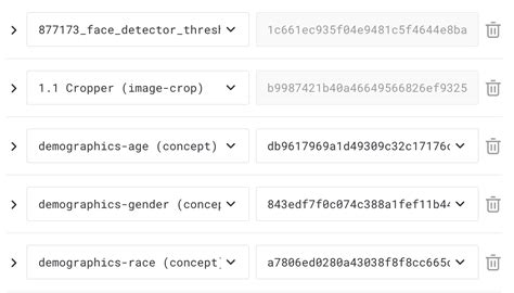 New Demographics Workflow For Age Race And Gender Recognition