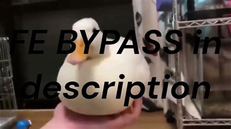 Fe Bypass In Description Youtube Fe Bypass In Description Youtube