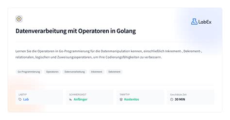 Datenverarbeitung Mit Operatoren In Golang Labex