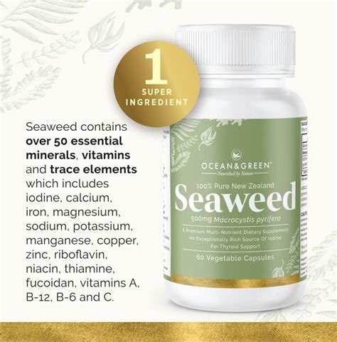 Scottish Seaweed Supplements Pure Ocean Nutrients