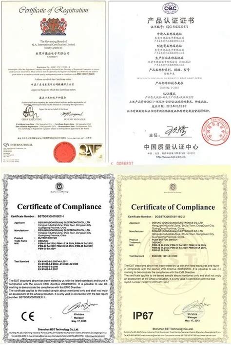 RX Wirewound Variable Resistor W To W Power