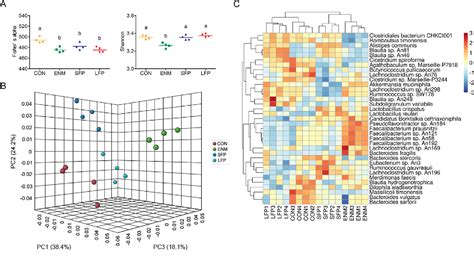 Table 1 From Differential Effects Of Bacillus Subtilis And Bacillus Licheniformis Fermented