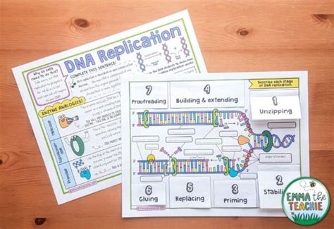 The Best Dna Replication Activity For High School Biology Emmatheteachie