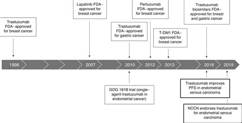 Her2 Testing And Reporting In Endometrial Serous Carcinoma