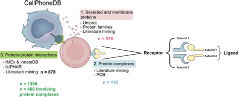 玩转单细胞高级分析 细胞通讯分析篇 知乎