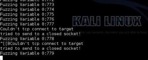 Hack Like A Pro How To Build Your Own Exploits Part 3 Fuzzing With