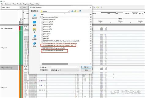 欧易生物生物信息分析——igv快速上手教程 知乎