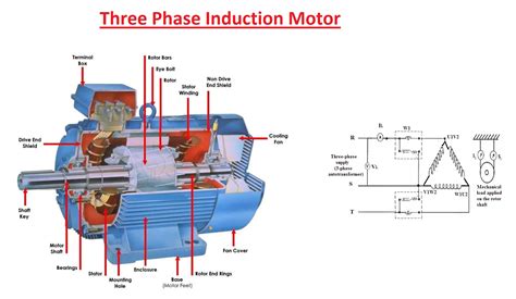 Applications Of Three Phase Induction Motor Driven Motors