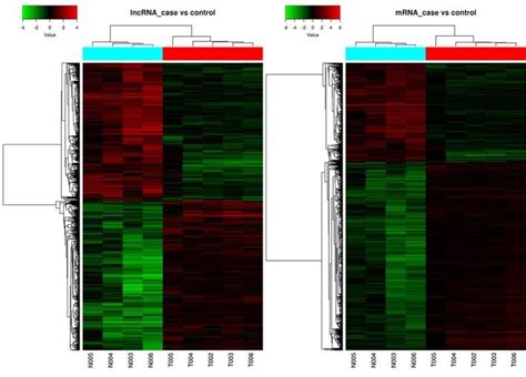 The Sample Clustering Analysis Results Of Lncrnas And Mrnas 538