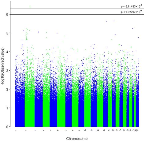 The Genome Wide Distribution Of Asymptotic P Values For Each Of The