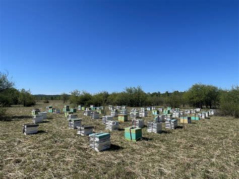 ЦЭЦЭГ брэнд Органик зөгийн бал Гэгээн тунгалаг өглөөний мэнд Миний сайхан эх орон Уртын
