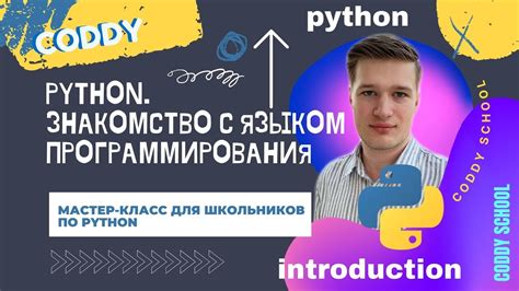 Python Знакомство с языком программирования Вебинар для школьников