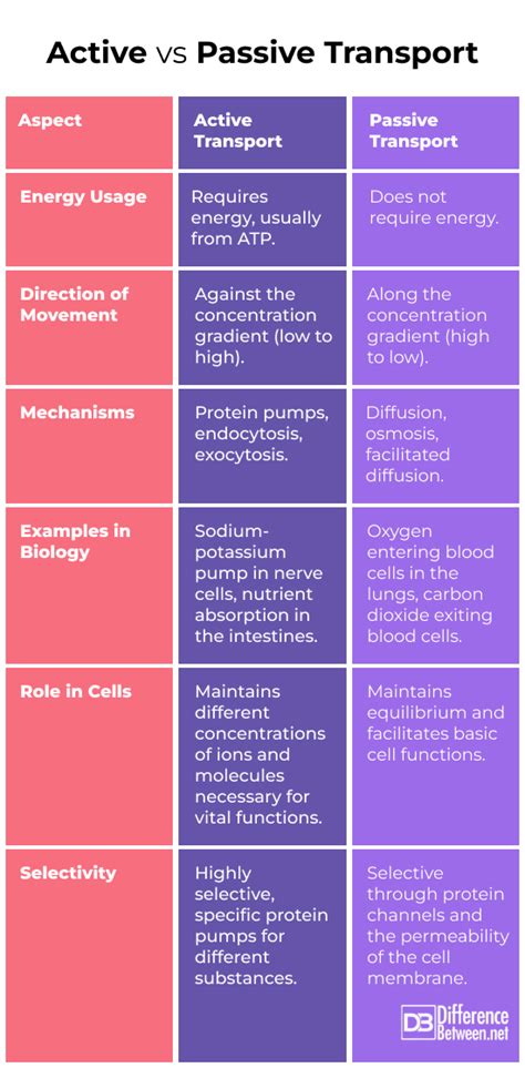Active Vs Passive Transport Difference Between Active Vs Passive