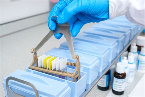 Manual Staining The Timeless Tool For Histology Solmedia