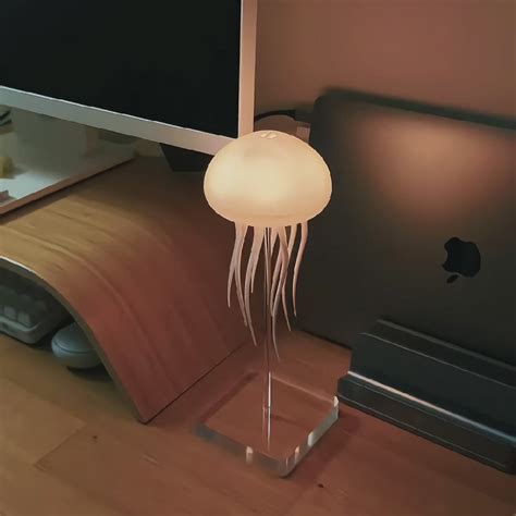 Floating Jellyfish Lamp Jellyflow