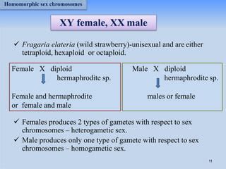 SEX DETERMINATION MECHANISMS IN PLANTS PPTX Reproductive Health