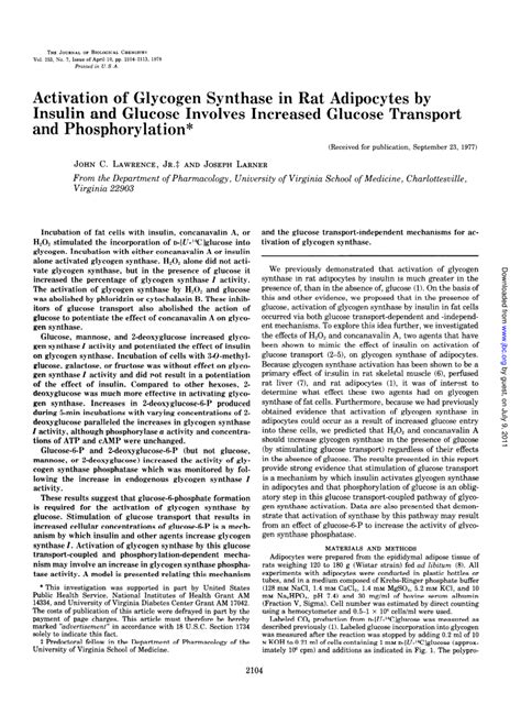 Pdf Activation Of Glycoge Synthase In Rat Adipocytes By Insulin And